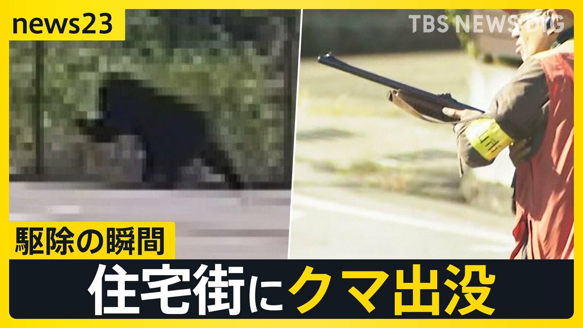 「一直線に突進するように、まさかここまで」盛岡の官庁街にクマ出没で騒然 富山では小学校近くにクマが…駆除の瞬間【news23】 | Cube ニュース