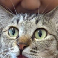 「InnoCell(R)」新製品、高酸素透過性ウェルプレートの上市－三井化学 | Cube ニュース